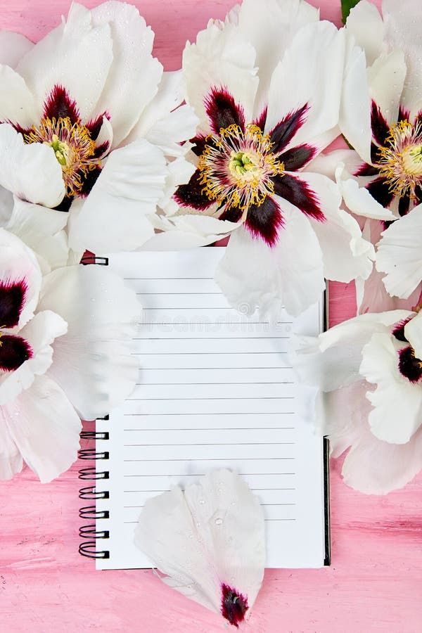 Flat Lay of Beautiful Fresh White Peonies with Notebook on Pink ...