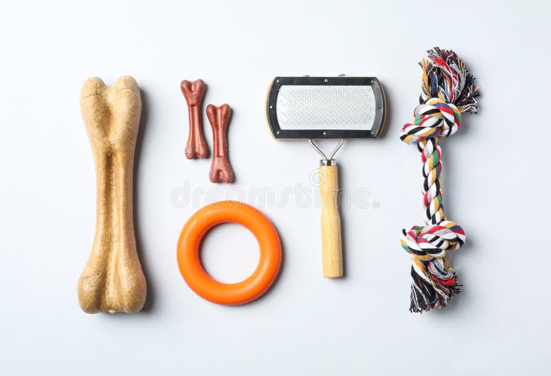 Flat Lay Composition with Accessories for Dog Stock Photo - Image of ...