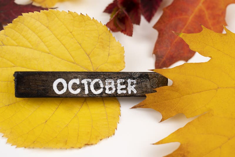 Flat Lay Composition with Autumn Leaves on White Background. Space for ...