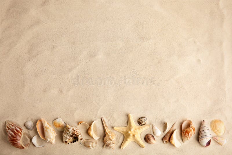 Flat Lay with Beautiful Starfish and Sea Shells on Sand, Space for Text ...