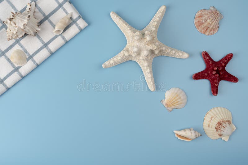 Flat Lay Composition with Beautiful Starfishes and Sea Shells on Blue ...