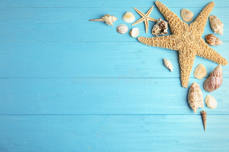 Flat Lay Composition with Beautiful and Sea Shells on Blue Wooden Table ...