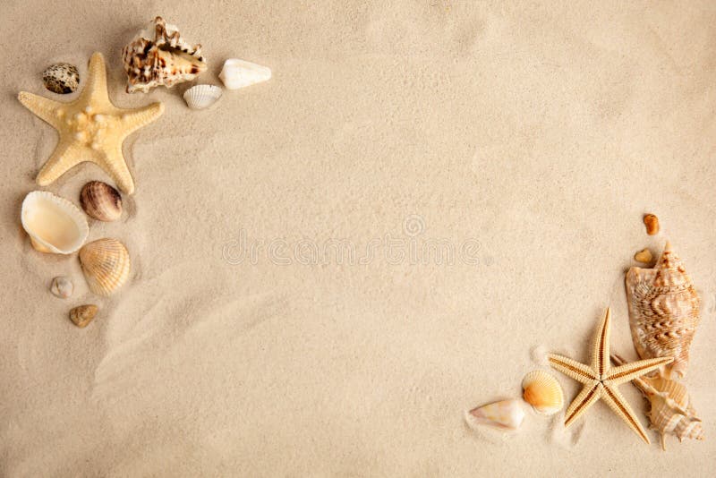 Flat Lay Composition with Beautiful and Sea Shells on Sand, Space for ...