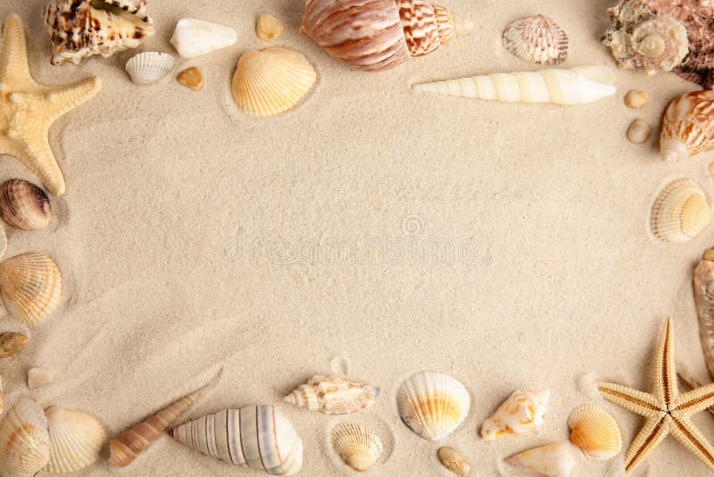 Flat Lay with Beautiful Starfishes and Sea Shells on Sand, Space for ...