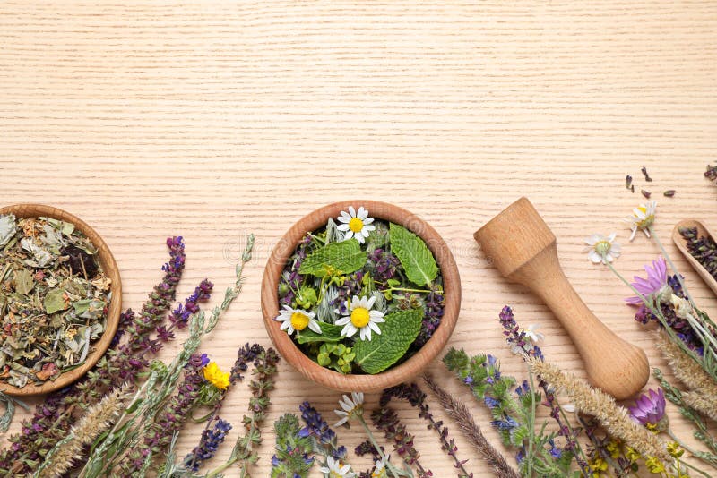 Flat Lay Composition with Healing Herbs on Table Stock Image - Image of ...