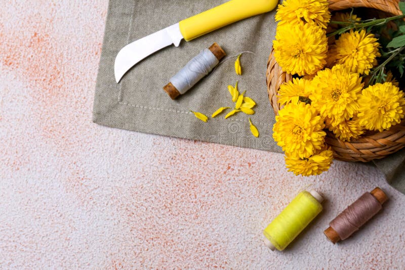 Flat Lay Composition with Knife, Threads and Chrysanthemum Flowers on ...