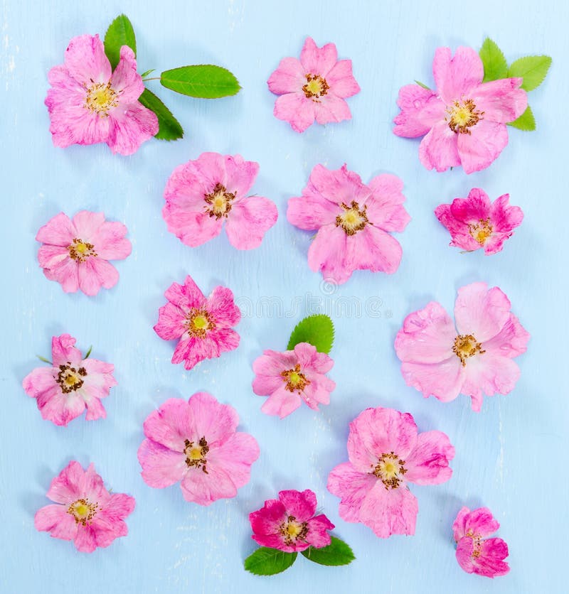 Flat Lay Composition with Sketchbooks, Brushes, Watercolor Paint Stock ...