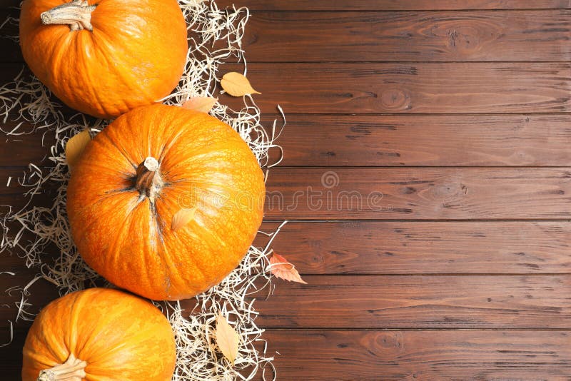 Flat Lay Composition with Pumpkins Stock Image - Image of farm ...