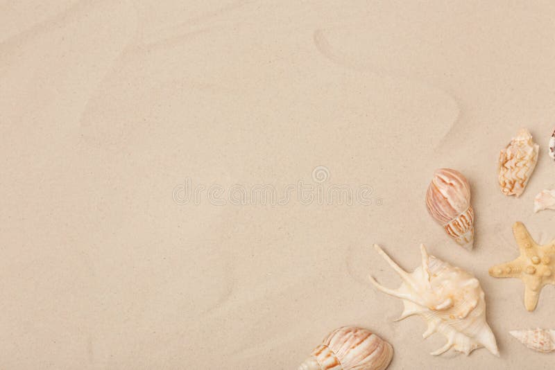 Flat Lay Composition with Sea Shells, Starfish and Space for Text Stock ...