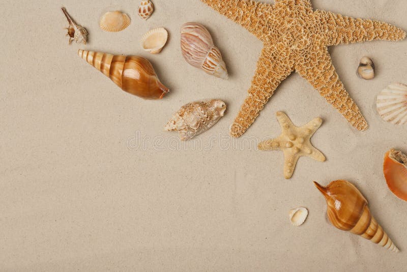 Flat Lay Composition with Sea Shells, Starfishes and Space for Text ...