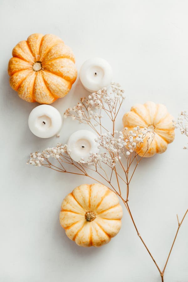 Flat Lay Composition of Small Pumpkins on a White Background with Decor ...