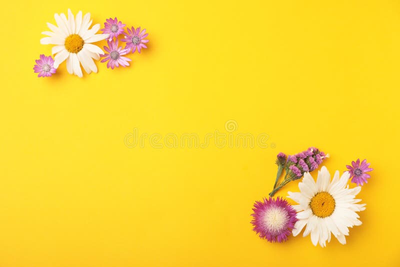 Flat Lay Composition with Wild Flowers Stock Image - Image of fresh ...