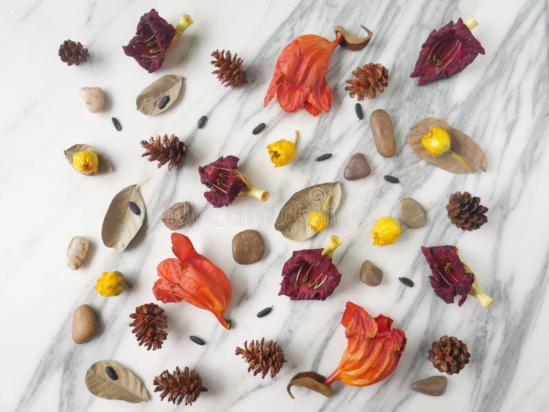 Flat Lay, Copy Space, Autumn Fall Concept Isolated on a White Marble ...