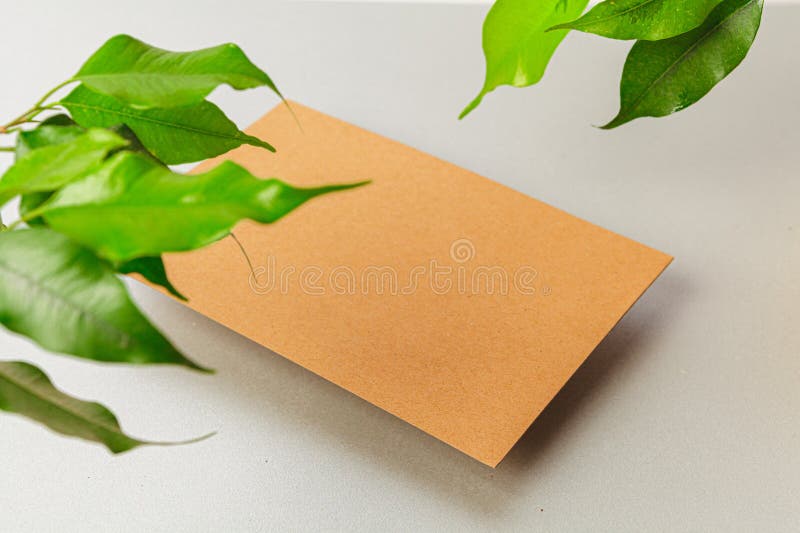Flat Lay Craft Paper Card Mockup with Leaves Stock Photo - Image of ...