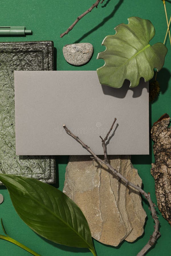 Flat Lay of Creative Moodboard Composition, Top View Stock Photo ...