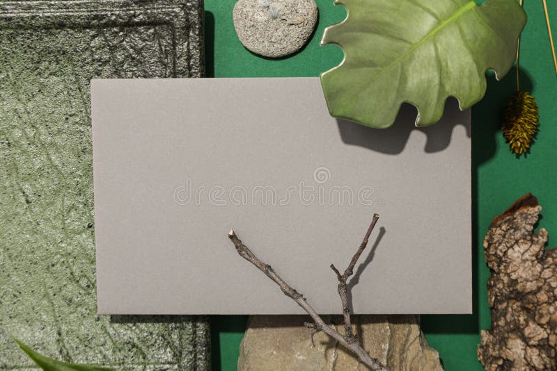 Flat Lay of Creative Moodboard Composition, Top View Stock Image ...