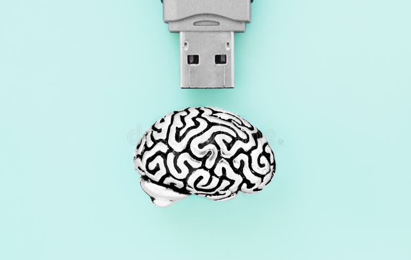913 Brain Storage Stock Photos - Free & Royalty-Free Stock Photos from ...