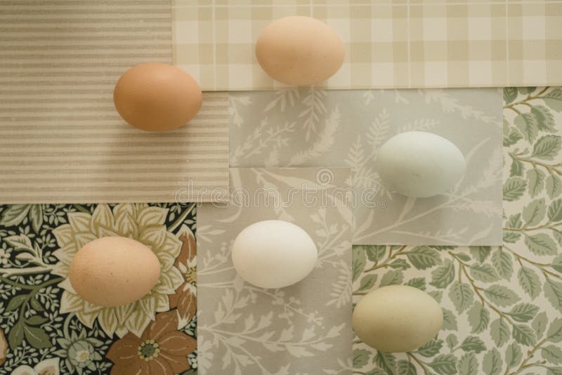 Flat Lay of Different Shades of Eggs on a Surface Stock Photo - Image ...