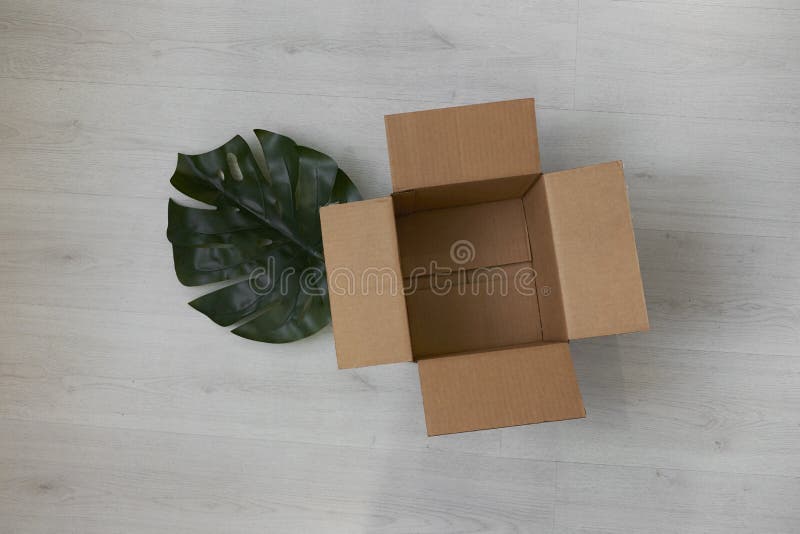 Flat Lay of Empty Open Cardboard Box on Wooden Surface Stock Image ...