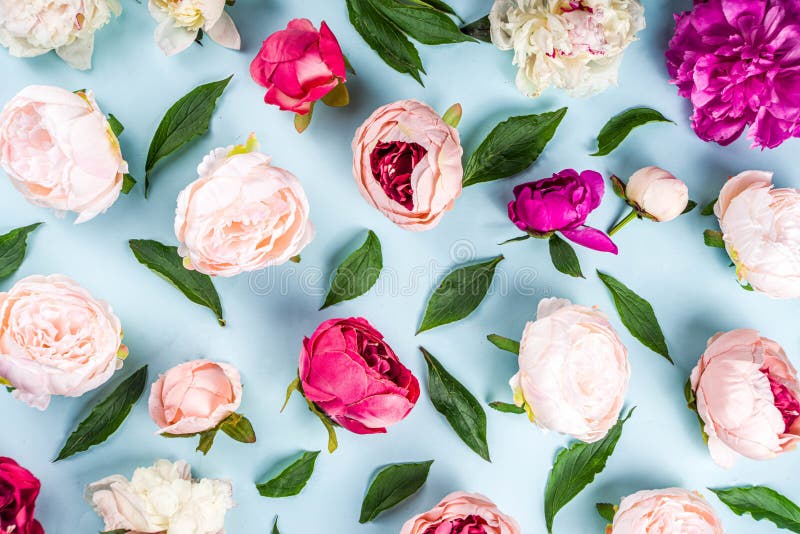 Flat Lay of Flowers and Green Leaves Stock Photo - Image of flat, flame ...