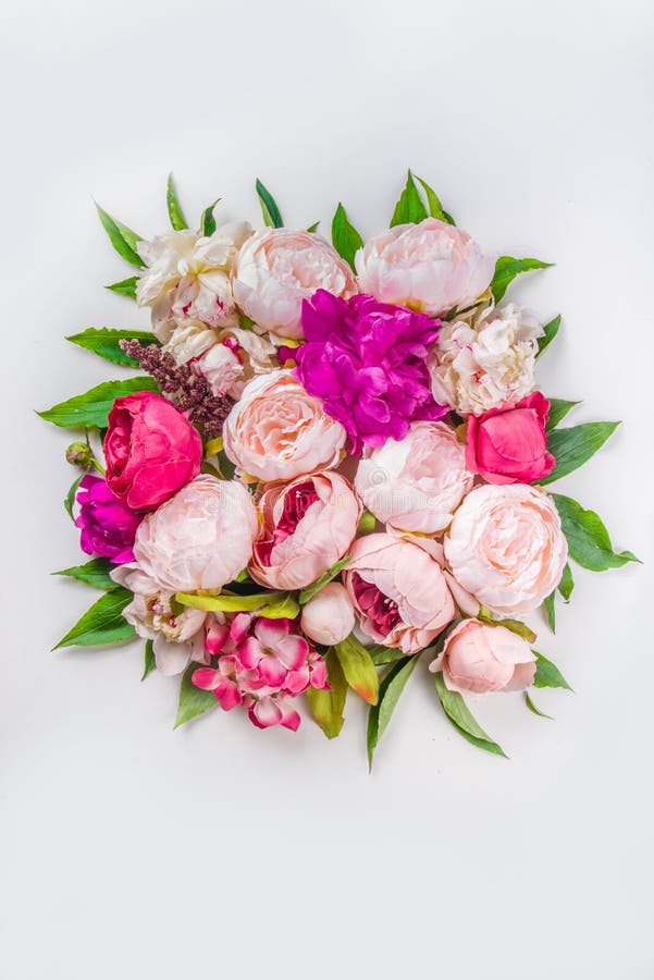 Flat Lay of Flowers and Green Leaves Stock Photo - Image of ...