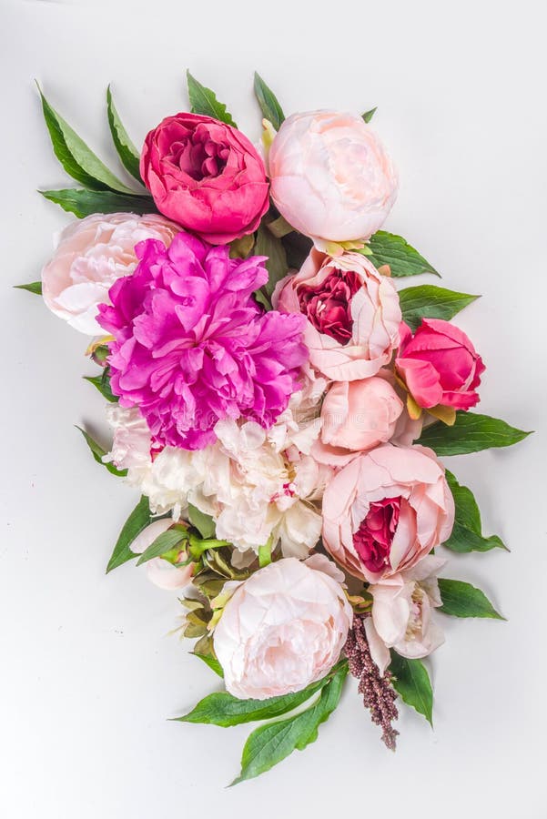 Flat Lay of Flowers and Green Leaves Stock Photo - Image of flatlay ...