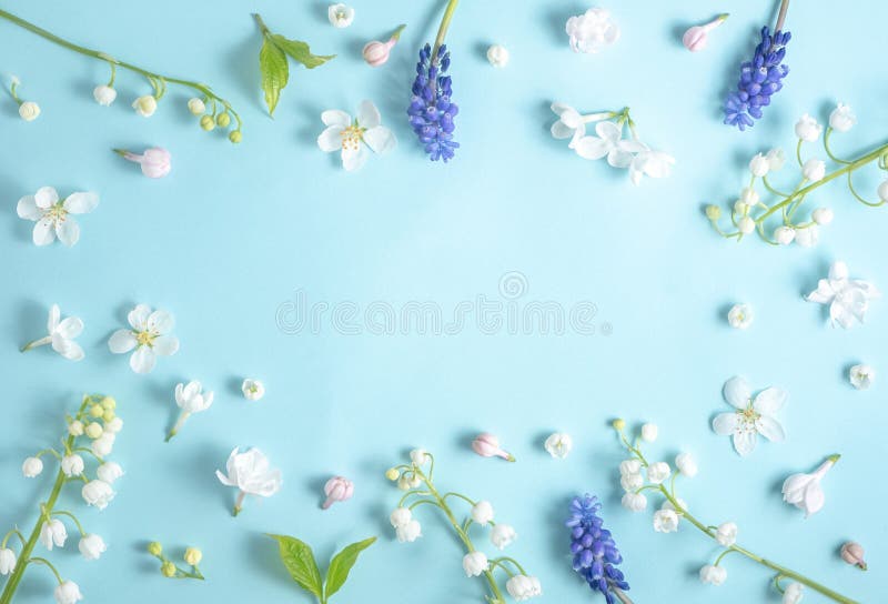 Flat Lay Frame from Spring Flowers on a Light Blue Background. View ...
