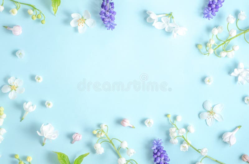Flat Lay Frame from Spring Flowers on a Light Blue Background. View ...