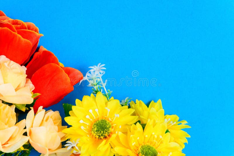 Flat Lay Fresh Flowers on Colorful Paper Stock Photo - Image of ...