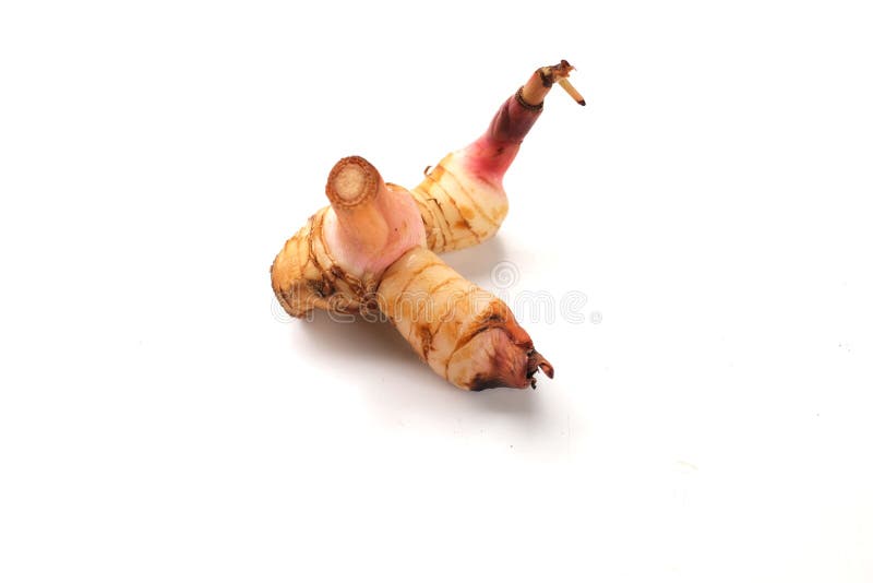 Flat Lay Fresh Galangal, Vegetables Isolate on a White Background Stock ...