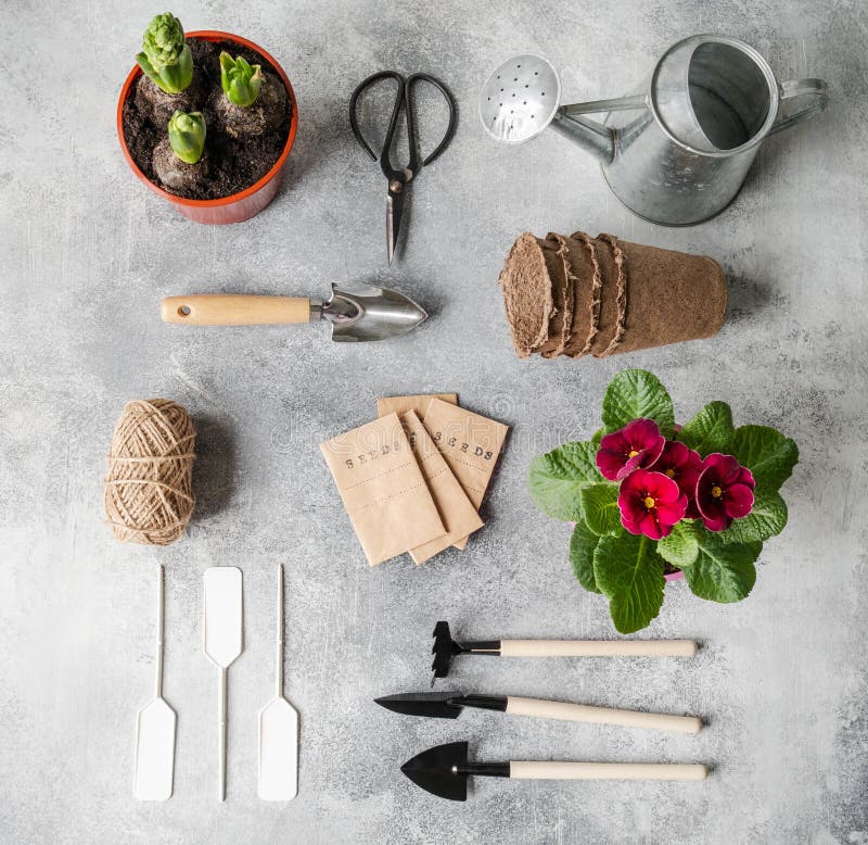 Flat Lay Garden Composition with Spring Flowers - Hyacinths, Primrose ...