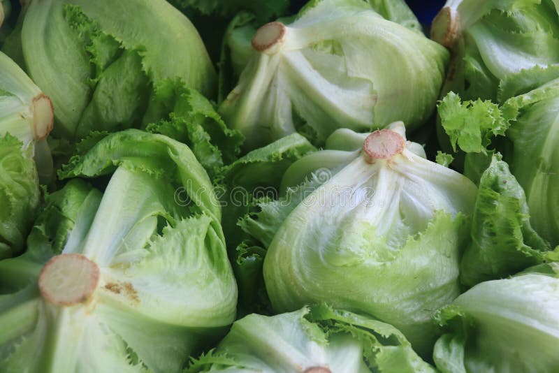 A Flat Lay of Lettuce Vegetables Stock Photo - Image of produce ...