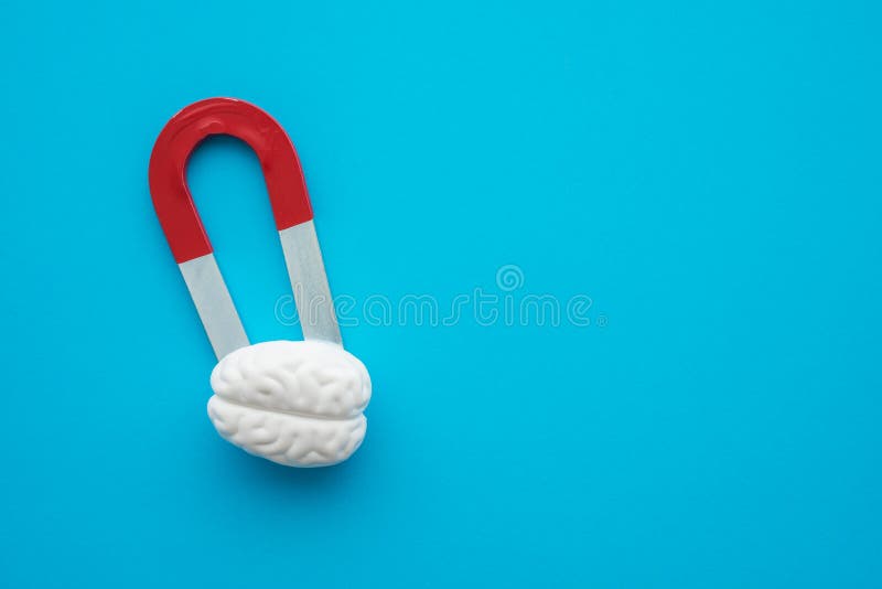 Flat Lay Minimal Style of Red Magnet Pulling Smart Brain on Blue ...