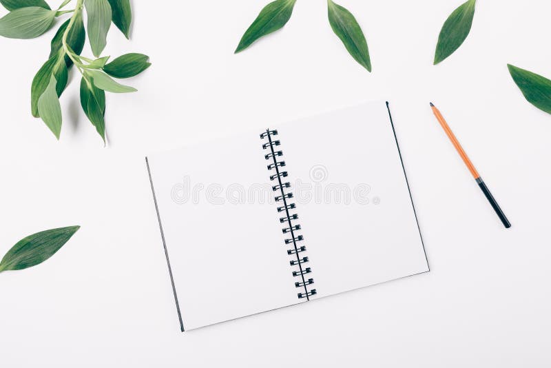 Flat Lay Open Blank Notepad, Pencil And Fresh Green Leaves Stock Photo ...