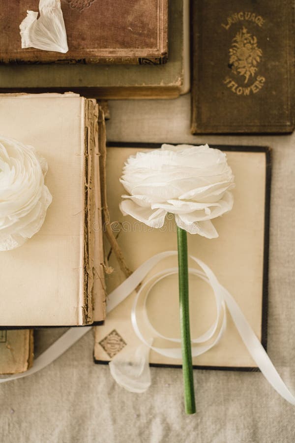 Flat Lay of Open Books and Artificial Rose Flowers on a White Cloth ...