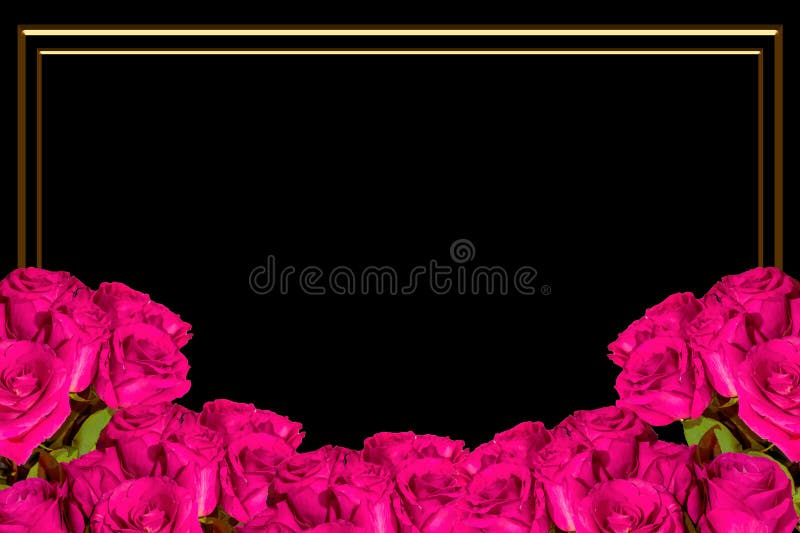 Flat Lay, Postcard for Death, Funeral. Beautiful Pink Roses Stock Image ...