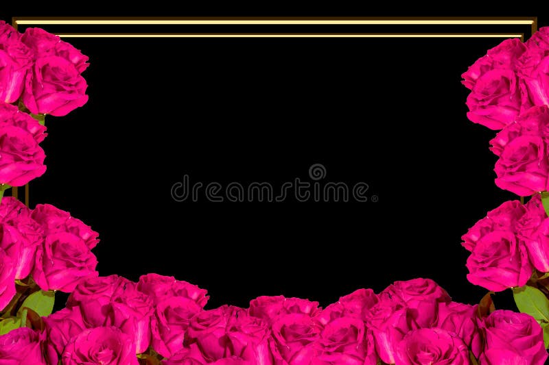 Flat Lay, Postcard for Death, Funeral. Beautiful Pink Roses Stock Photo ...