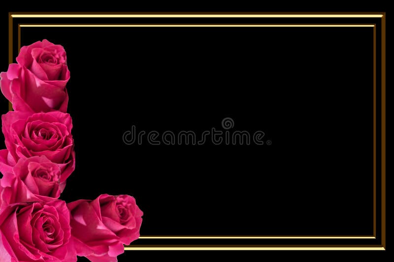 Flat Lay, Postcard for Death, Funeral. Beautiful Pink Roses Stock Image ...