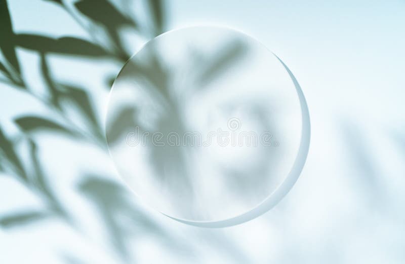 Flat Lay Product Presentation Scene Made with White Circle Stage and ...