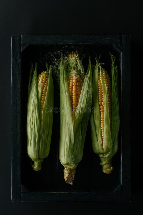 Flat Lay with Raw Fresh Corn Cobs in Wooden Box Stock Image - Image of ...