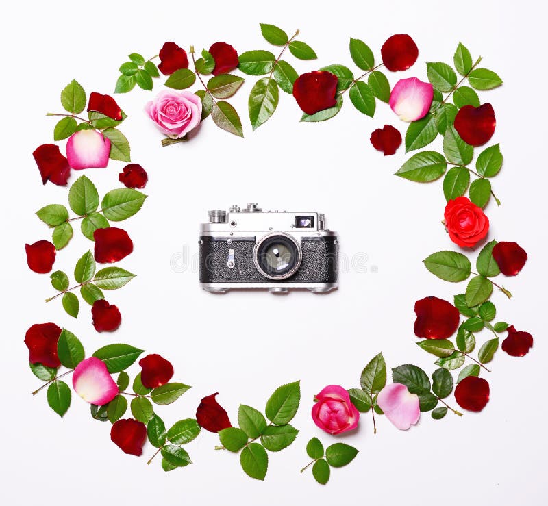 Flat Lay - Retro Photo Camera and Rose Leaves and Roses Around it in ...
