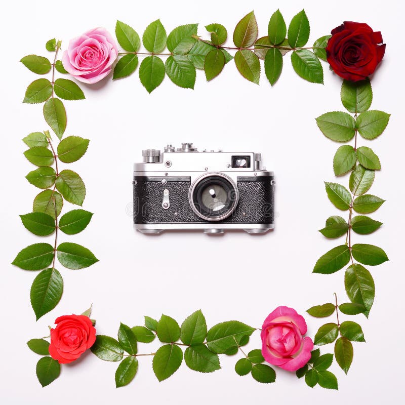 Flat Lay - Retro Photo Camera and Rose Leaves and Roses Around it in ...