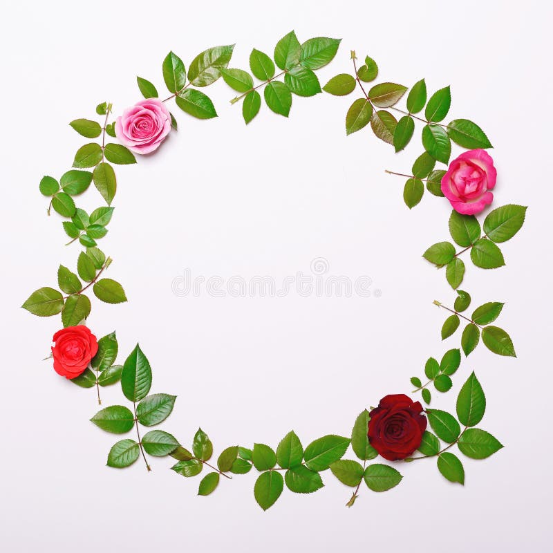 Flat Lay - Round Frame Made of Beautiful Fresh Roses and Leaves Stock ...