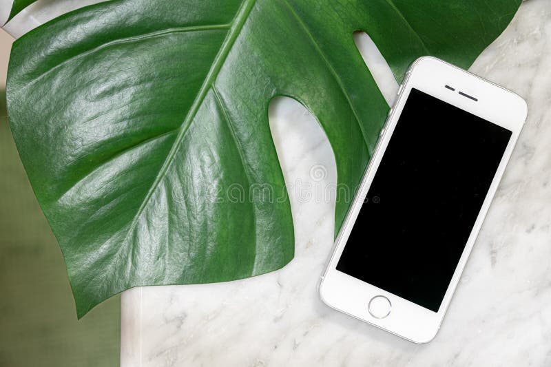 Flat Lay Shopping Concept with Paper Bag and Tropical Leaves. Stock ...