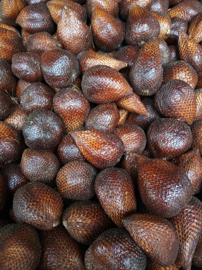 Flat Lay of Snake Fruits stock image. Image of fresh - 142223087