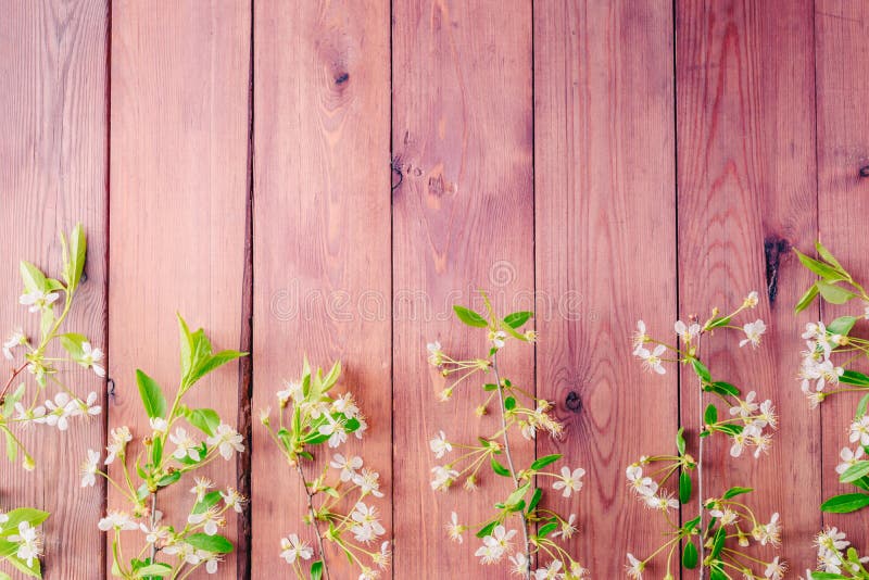 Flat Lay Spring Composition Stock Photo - Image of floral, cherry ...