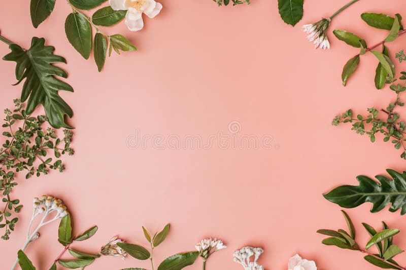 Flat Lay Spring, Flower, Leaf, and Nature Background Stock Image ...
