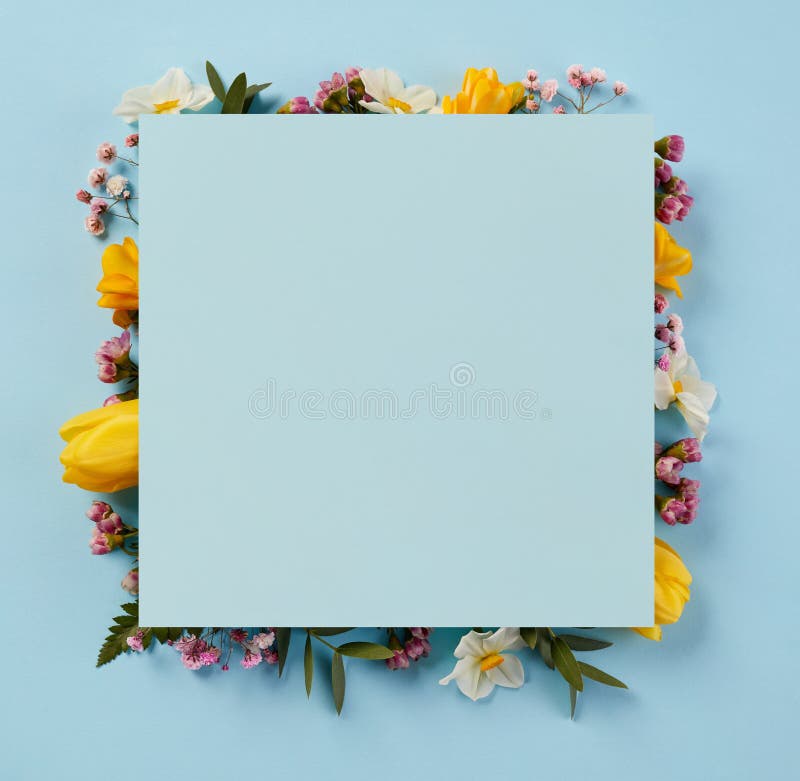 Flat Lay Spring Flowers Composition Stock Photo - Image of frame ...