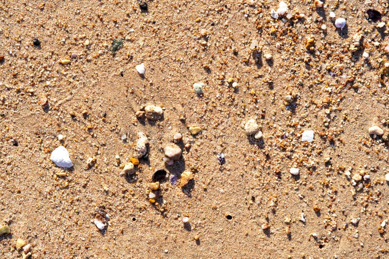 Flat Lay Surface of Sandy Beach with Yellow Sand and Small Stones ...