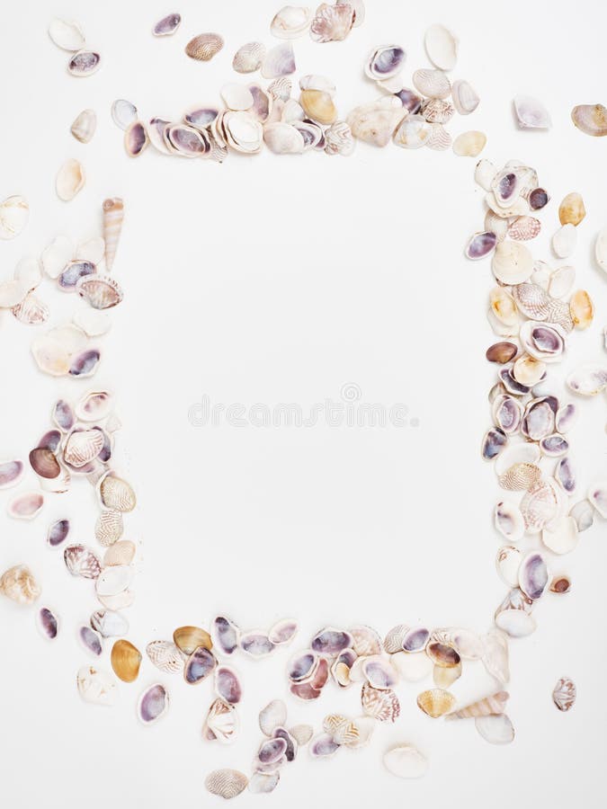 Flat Lay of Shells on a Blue Wooden Background Stock Photo - Image of ...